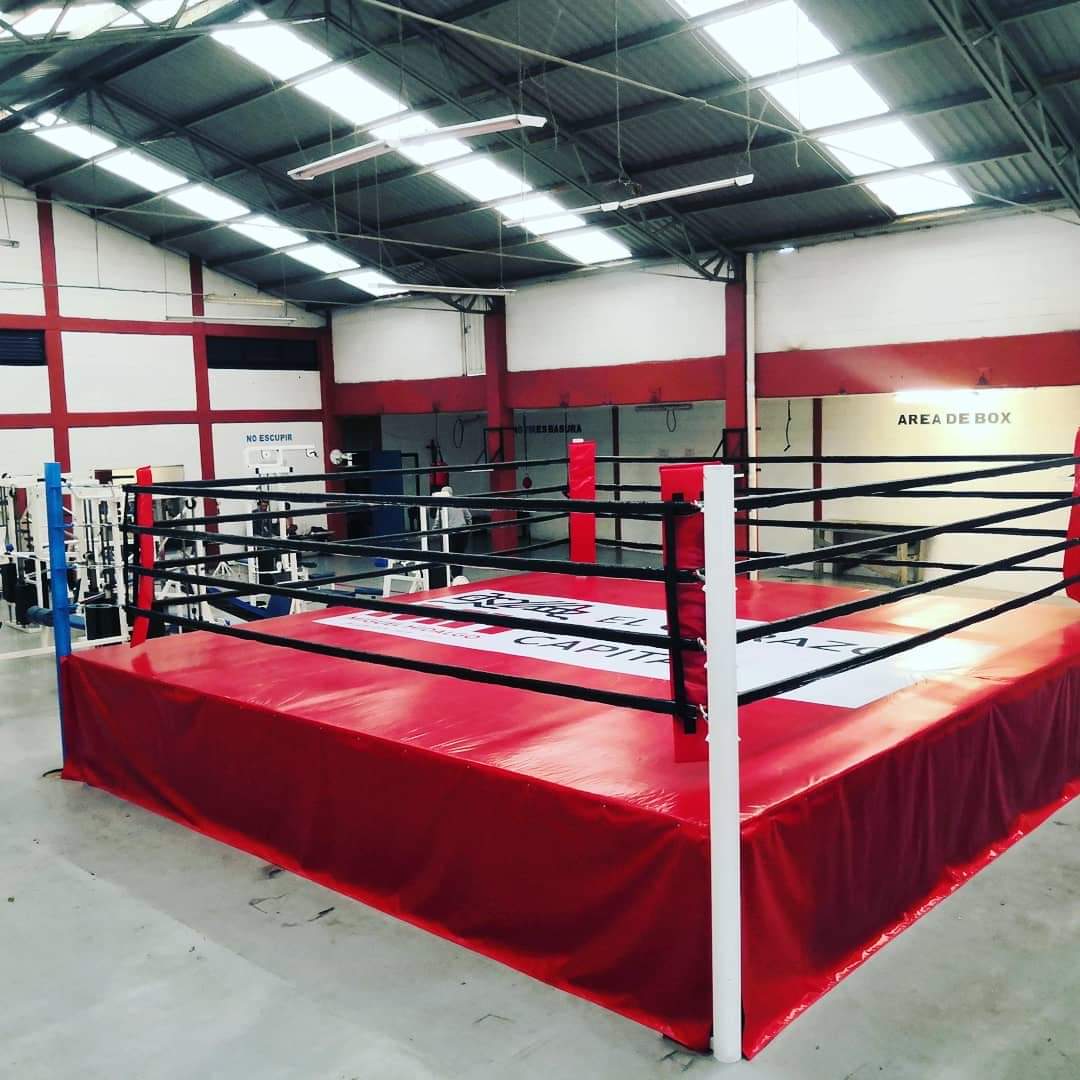 Ring de box Profesional – bdsfight