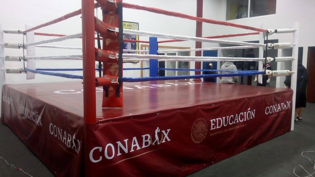 Ring de box Profesional – bdsfight